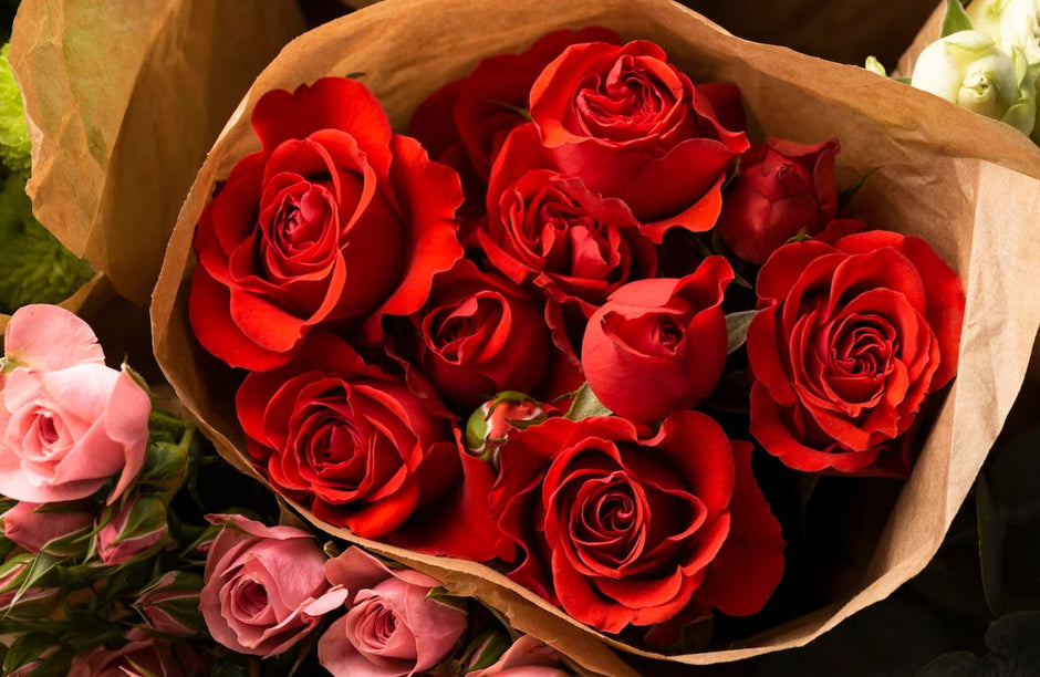 5 Bunga yang Hidup di Air: Pesona Flora Unik