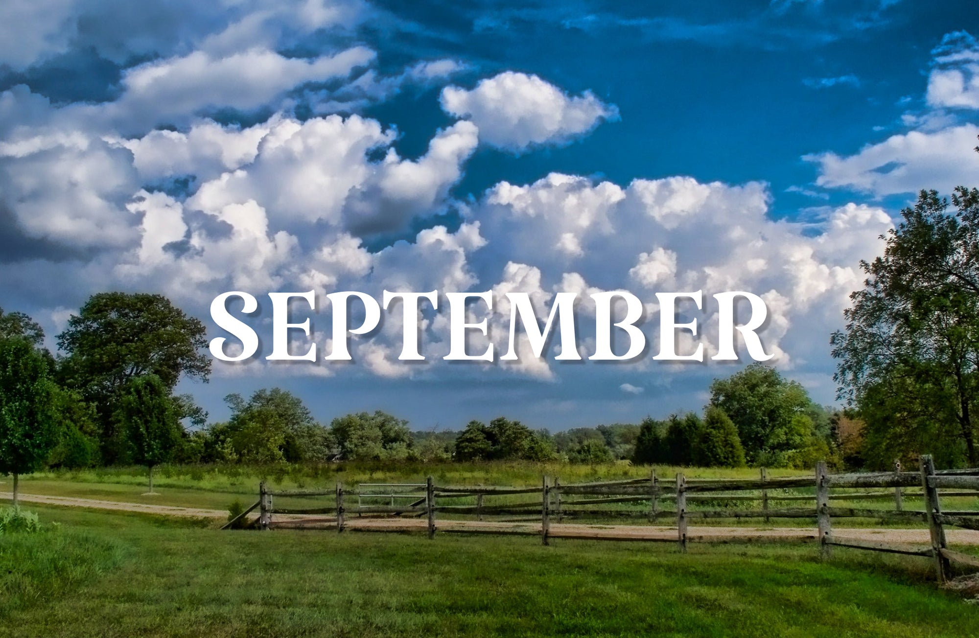 Bunga Bulan September: Bukan Valentin tapi Tetap Penuh Akan Cinta