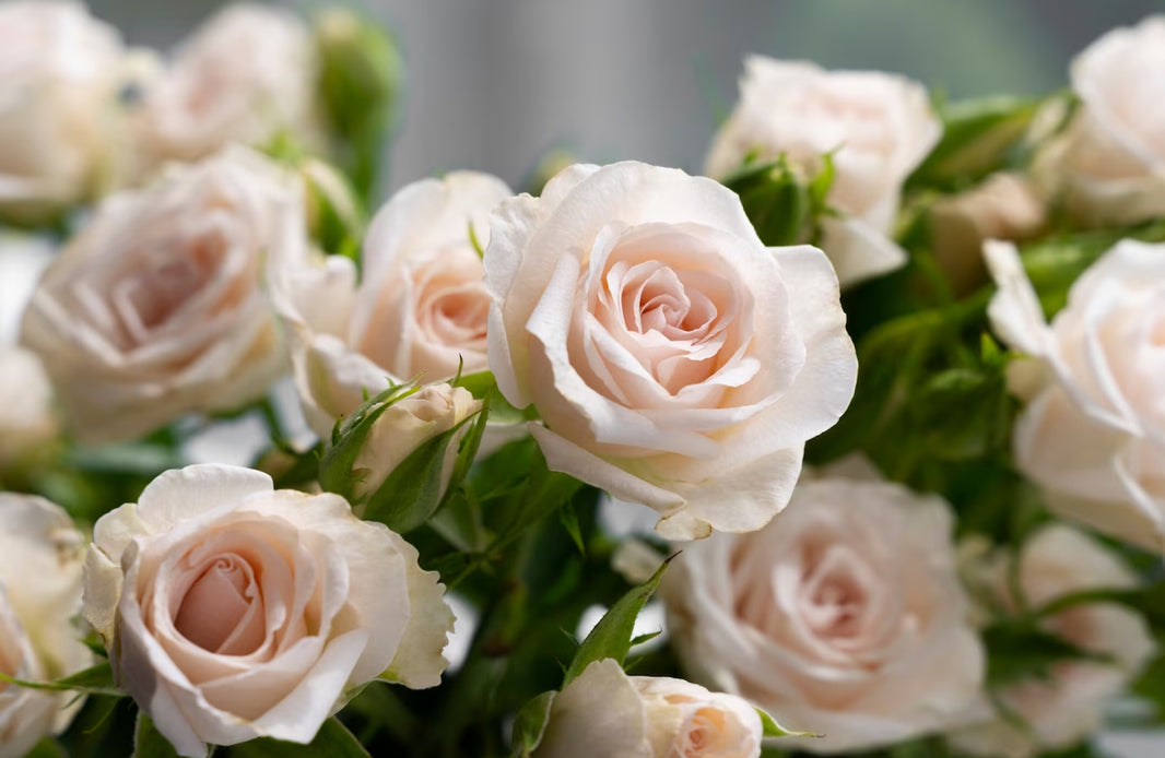 5 Bunga yang Hidup di Air: Pesona Flora Unik