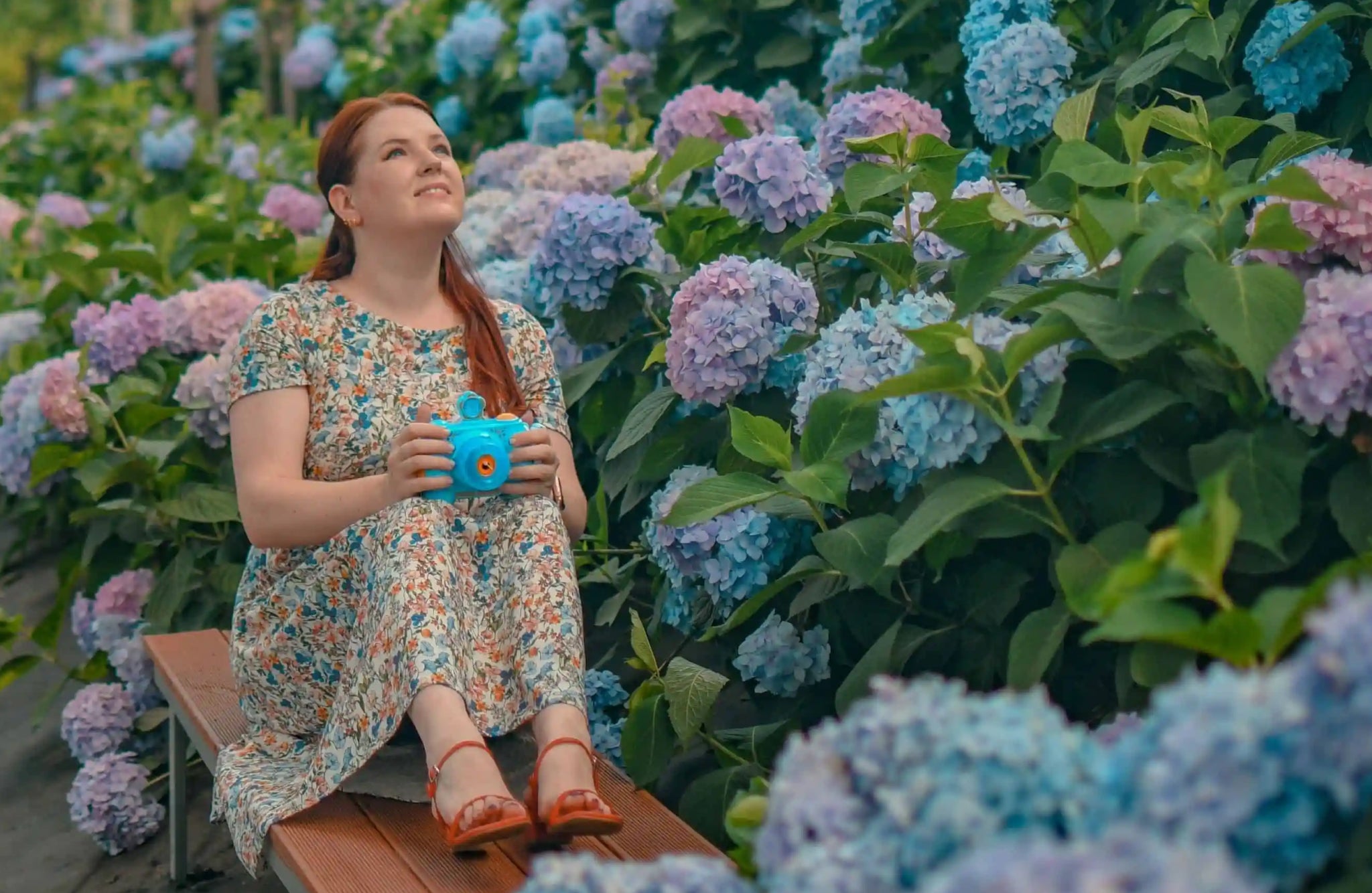 Kenali Makna dan Arti Bunga Hydrangea! Indahnya Bunga Asal Korea
