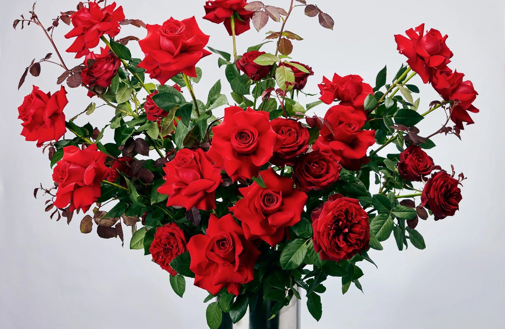 Ciri Ciri Bunga Mawar yang Bikin Doi Jatuh Hati!