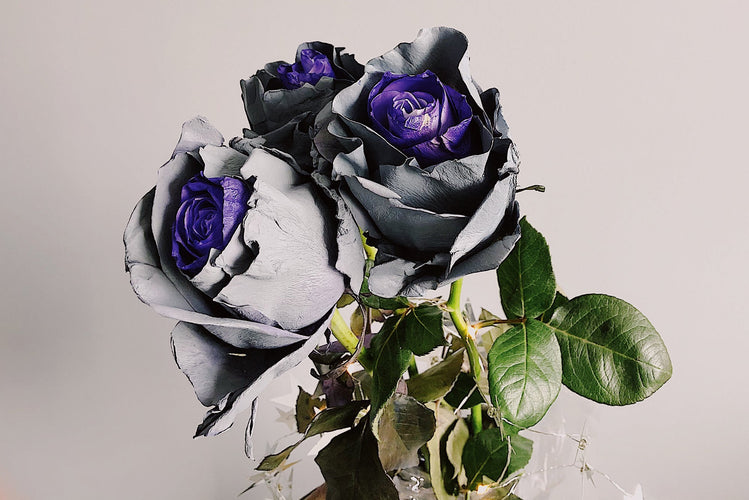 Bunga Apa yang Paling Mahal? Simak 5 Jenis Flora Paling Berharga!