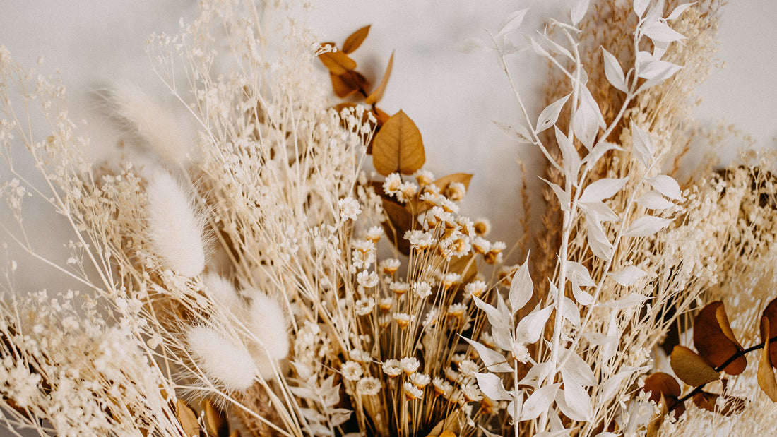 Bunga Layu? Ini Cara Mengeringkan Bunga Agar Tetap Bisa di Gunakan