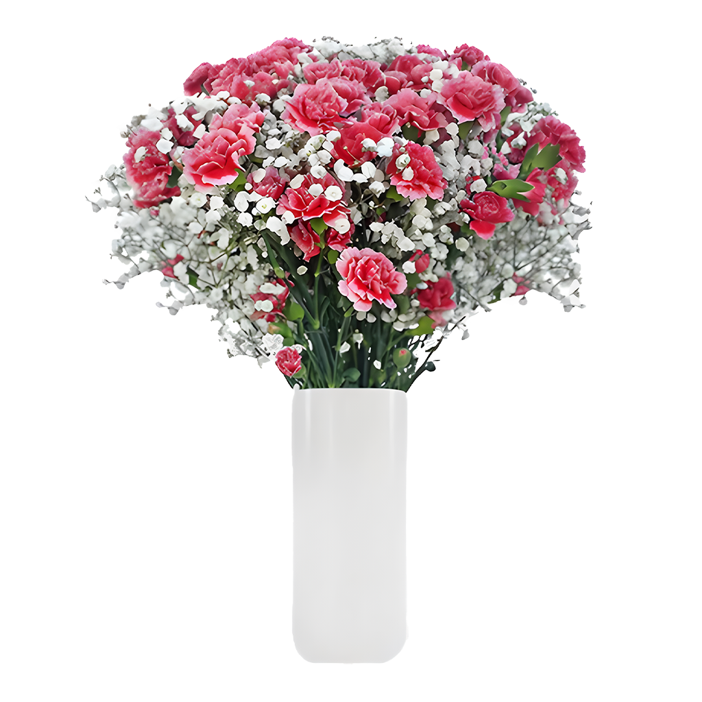 Jual Classic Beauty Harga Terbaik Desember 2023 | Million Bloom