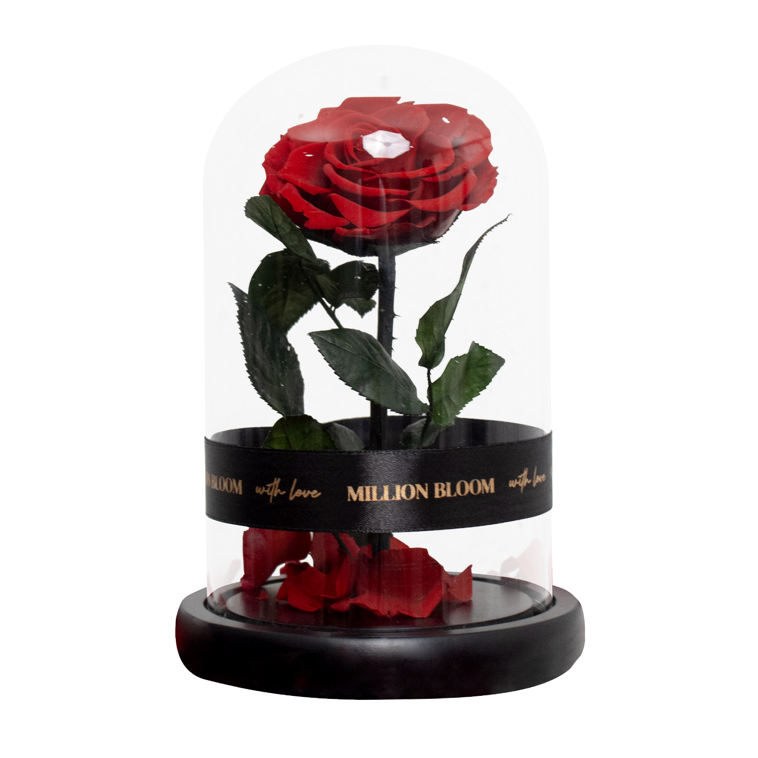 Jual Eternal Rose Flower Harga Terbaik Desember 2023 | Million Bloom