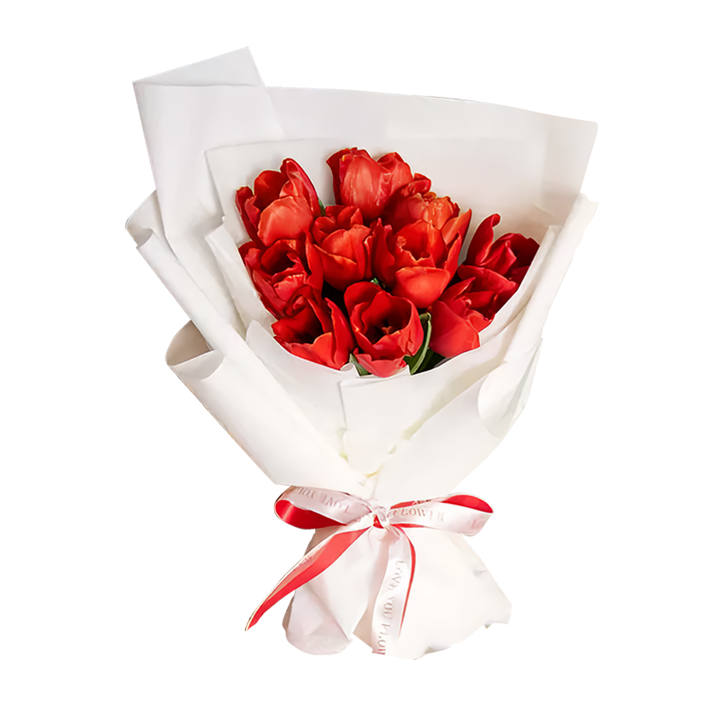 Jual Golden Radiance Harga Terbaik Desember 2023 | Million Bloom