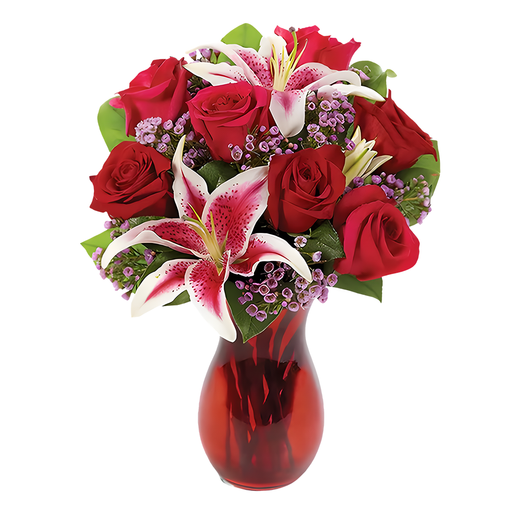 Jual Scarlet Elegance Harga Terbaik Desember 2023 | Million Bloom